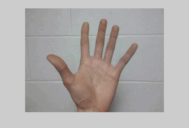 Final Project - Image Morphing