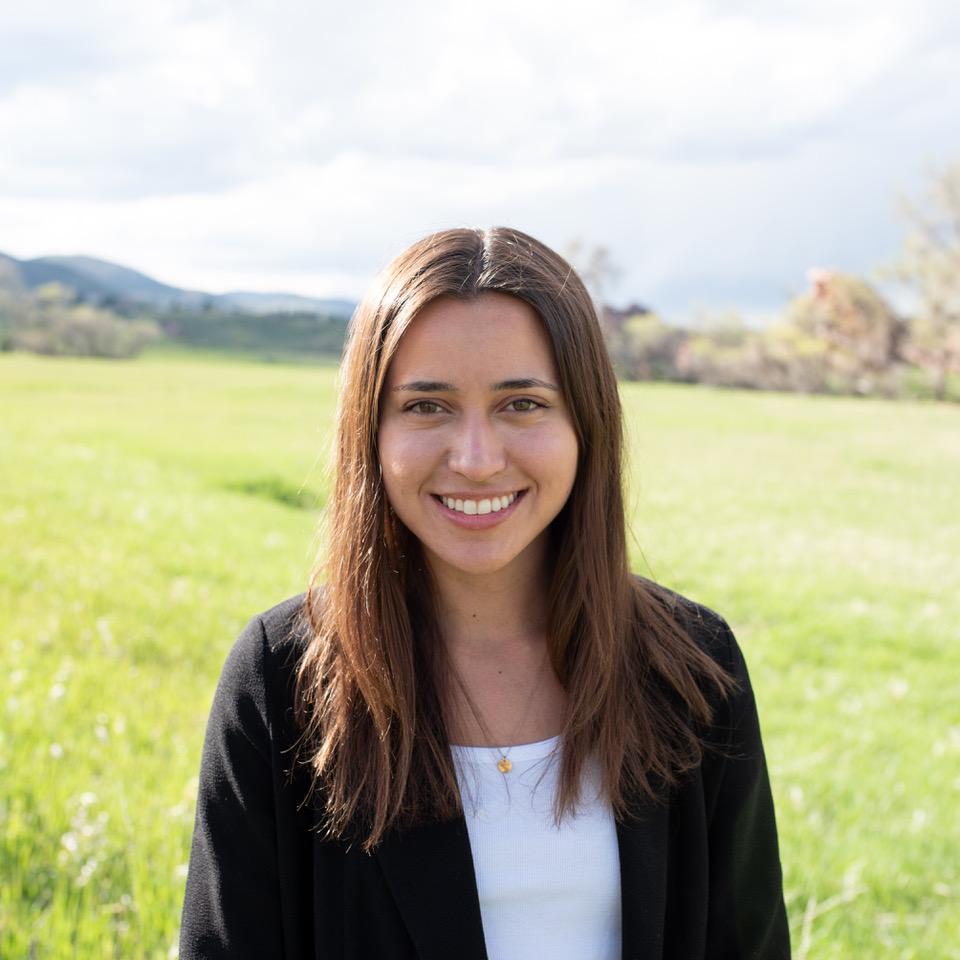 Brown CS: Brown CS News