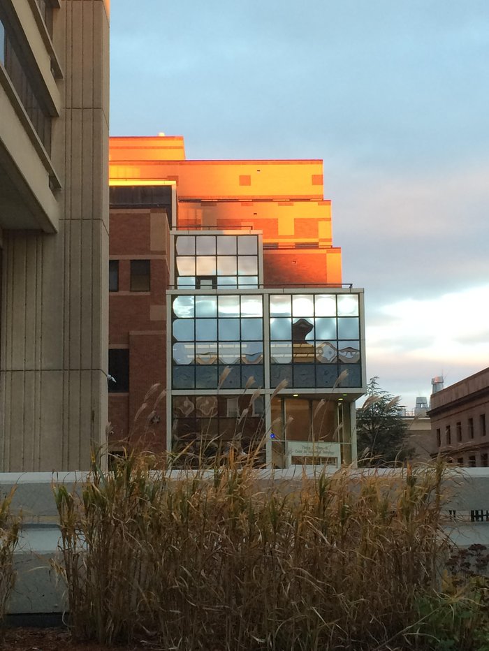 Brown CS: Applying To Our Degree Programs