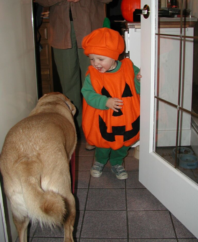 Halloween 2001