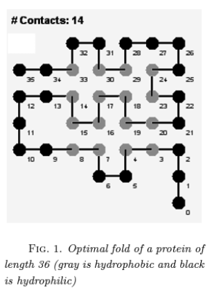 Istrail Lab | Protein Folding Algorithms